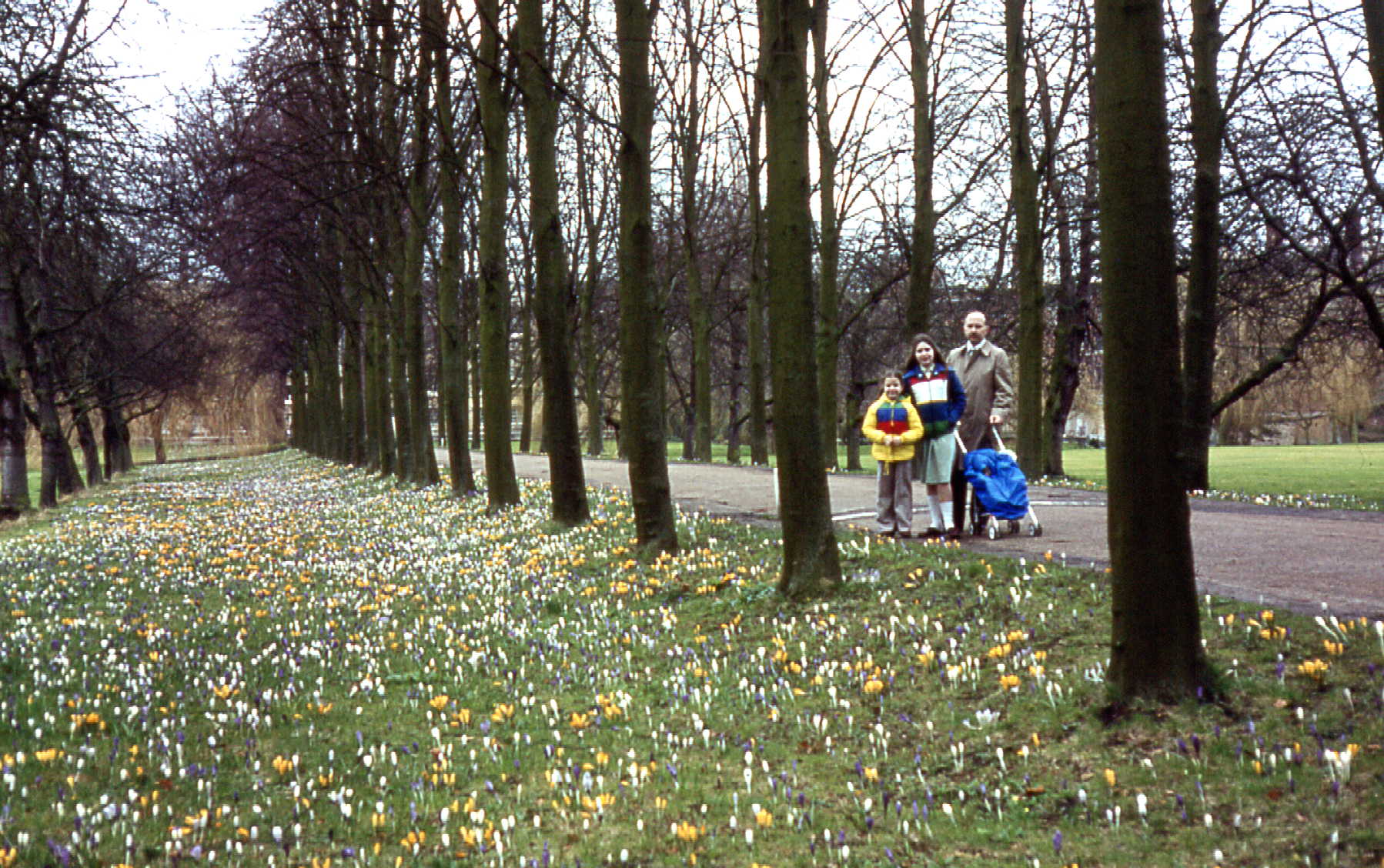 England 40 Years Ago — March 15, 1981 – Mehrling Muse