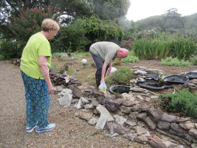 Water Falls Again – Mehrling Muse